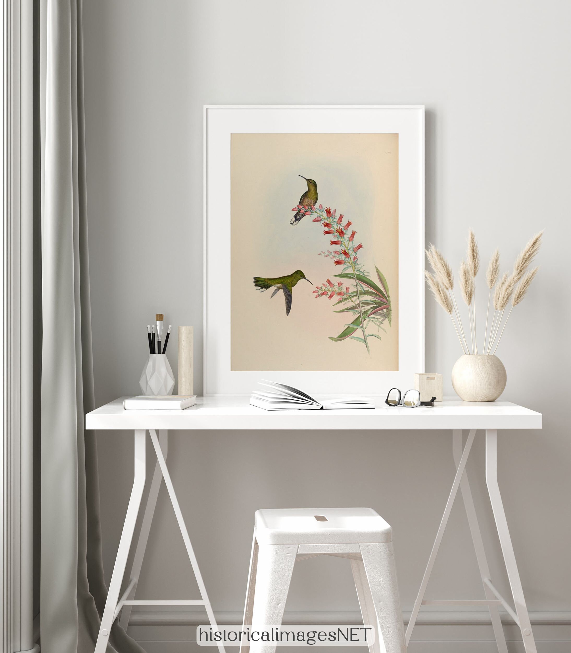 Vintage Painting of Hummingbirds of the XIX Century. DIGITAL DOWNLOADS ...