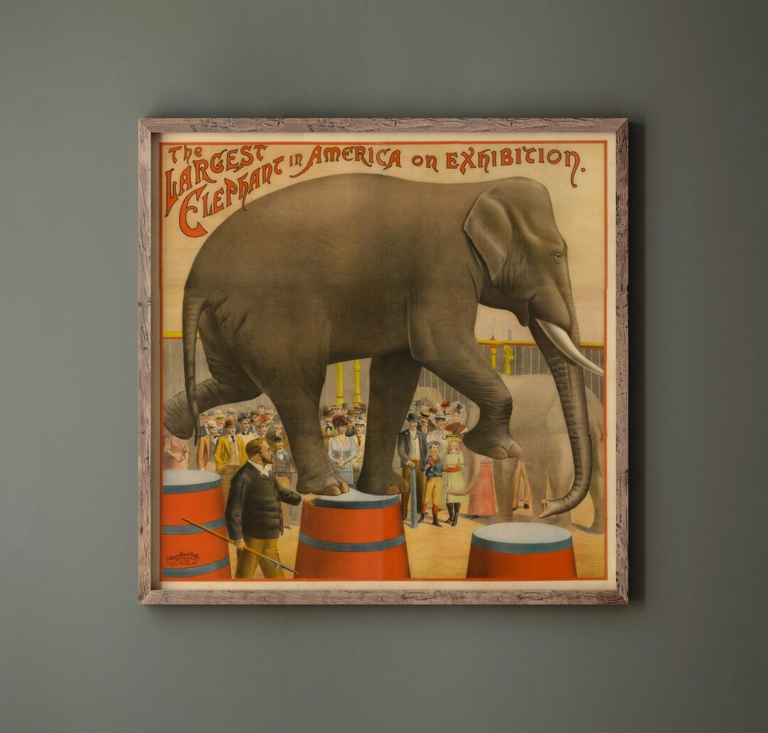 Vintage Circus Exhibition Poster. Elephant at the Circus . Remastered ...