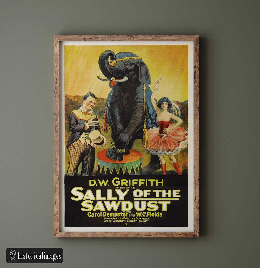 Sally of the Sawdust by D.W Griffith Historic Movie Poster Reproduction ...