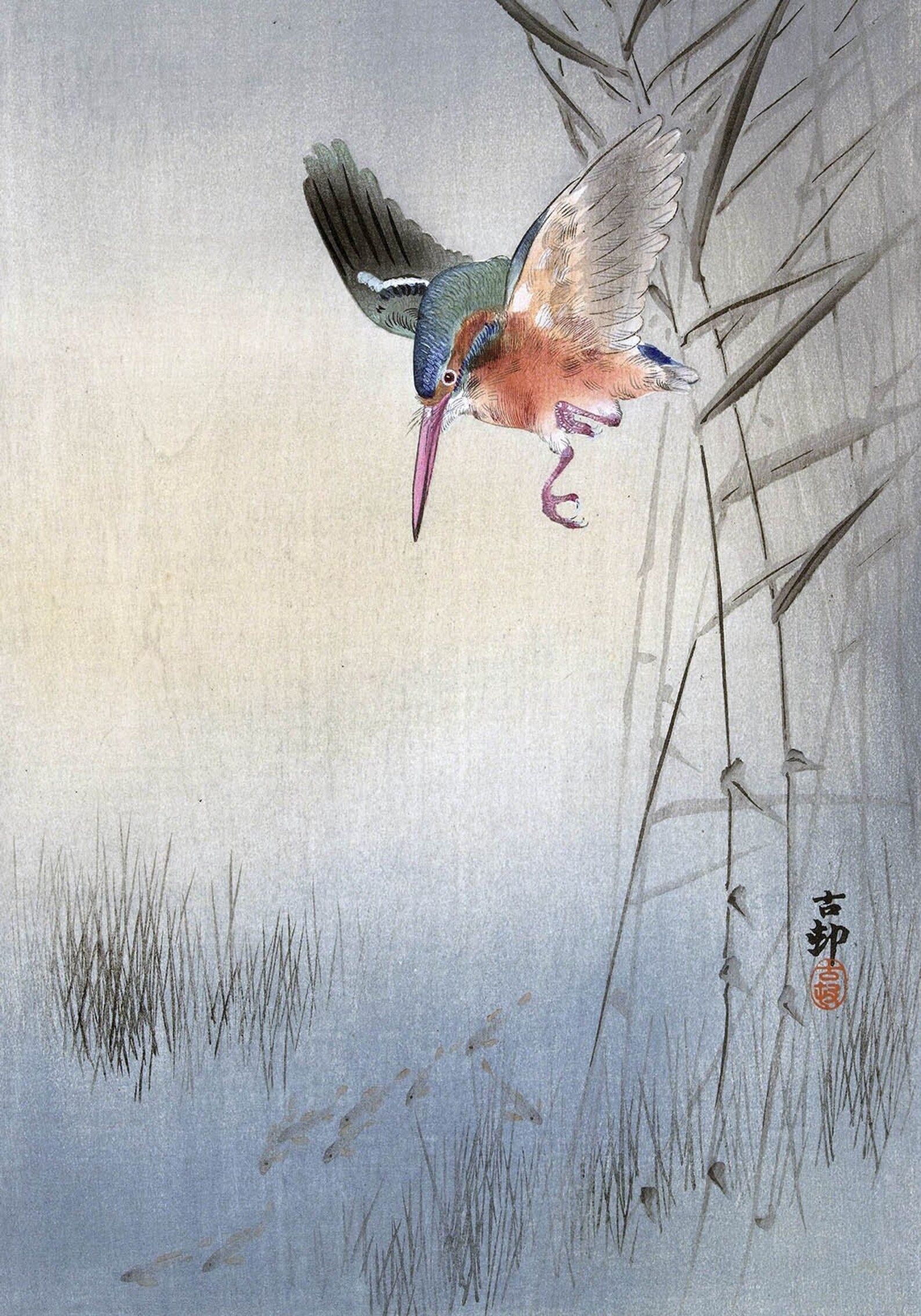 Kingfisher Hunting Fish by Ohara Koson Ukiyo-e Woodblock Print ...
