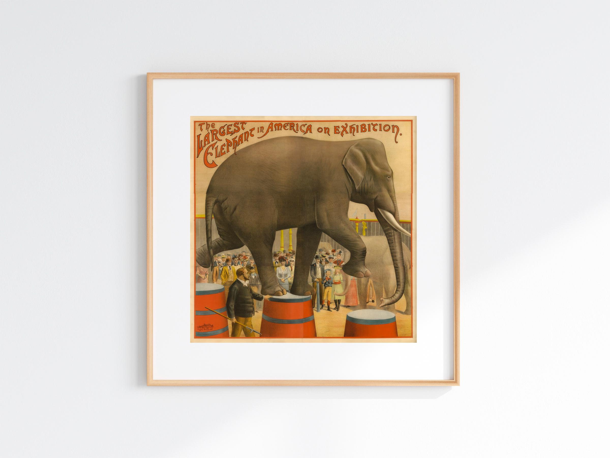 Vintage Circus Exhibition Poster. Elephant at the Circus . Remastered ...
