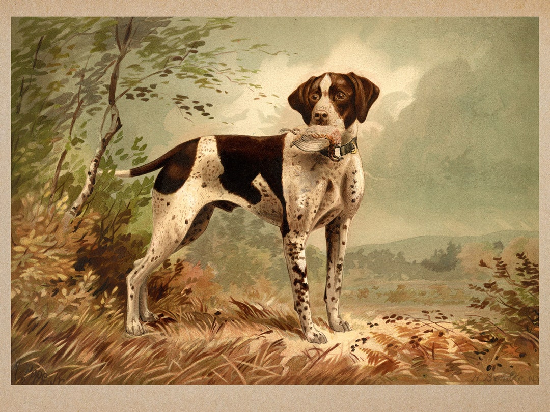 Hunting Dog Vintage Painting Poster With Partridge in Mouth - Etsy