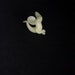 Mini Ghost Rat - Etsy