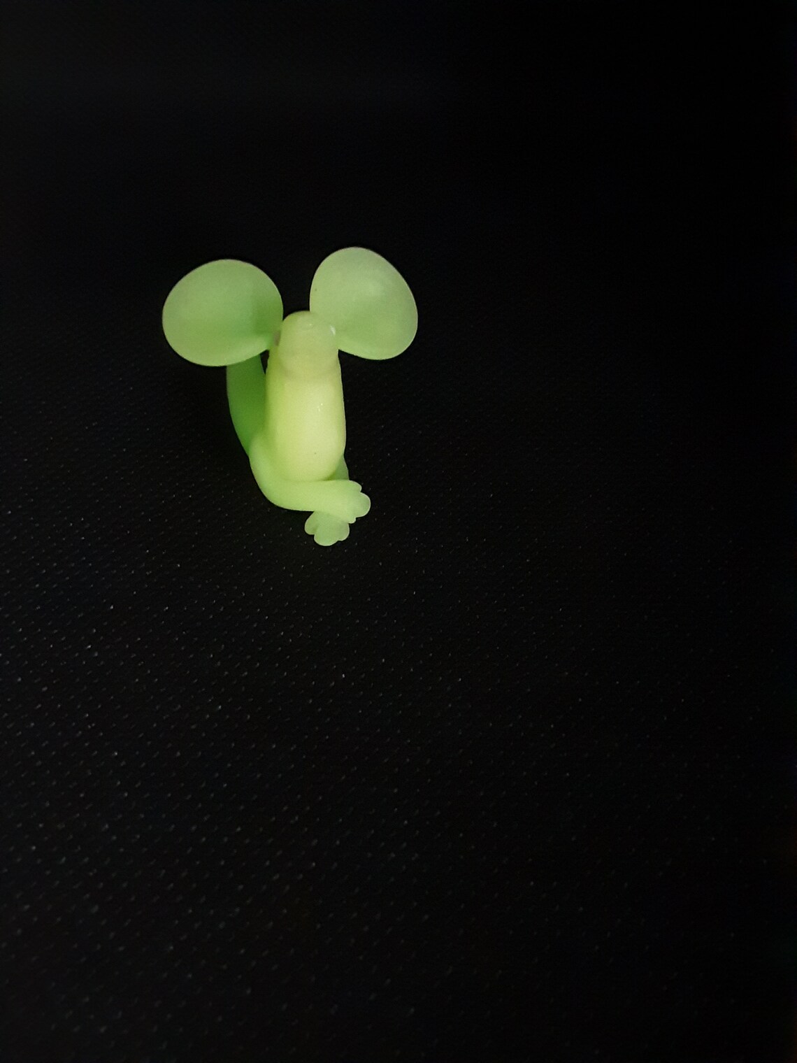 Mini Ghost Rat - Etsy