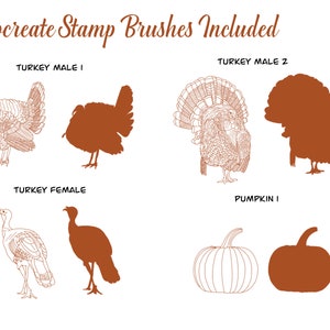 Fall Turkey Pack | Procreate Brushes and Stamps | Digital Download ...