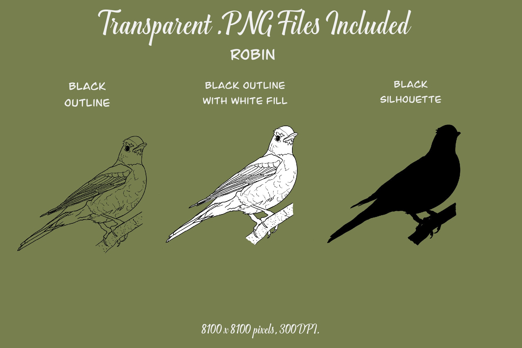 Ultimate Bird Pack Procreate Brushes and Stamps Digital Download - Etsy