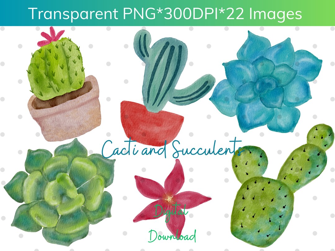 Cactus Watercolor Clipart, Succulent Watercolor Clipart DIY, Commercial ...