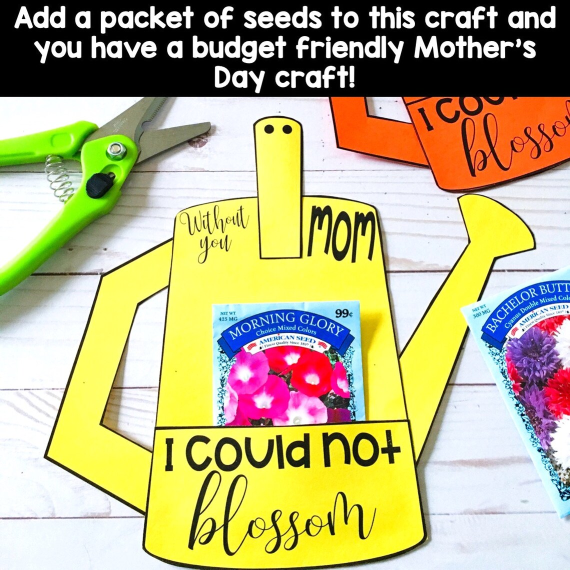 Mother’s Day Craft Mothers Day Card Flower Activities Watering Can Seed ...