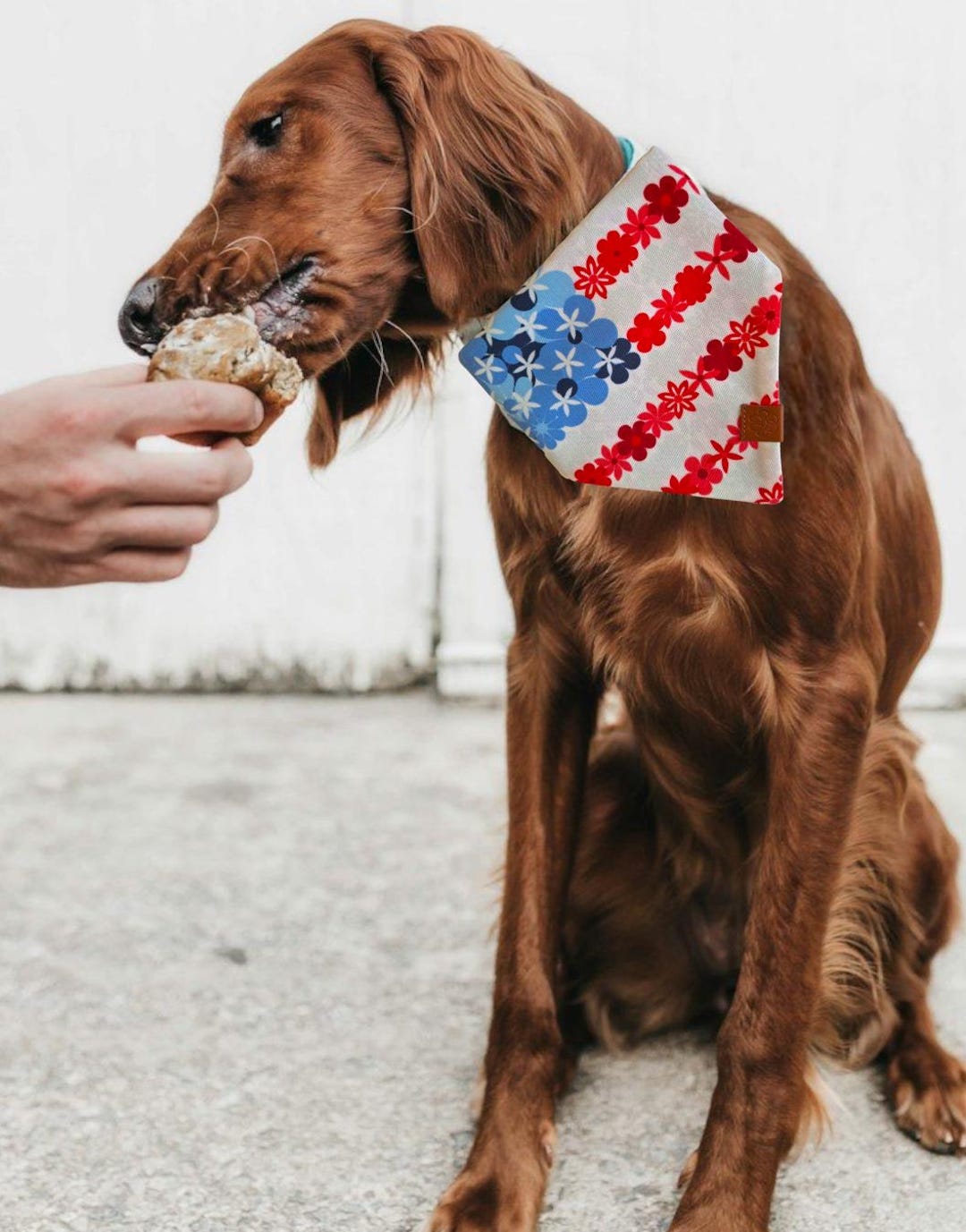 American Flag Dog Bandana, NWT, Slide Over Collar Bandana, Cat Bandana ...