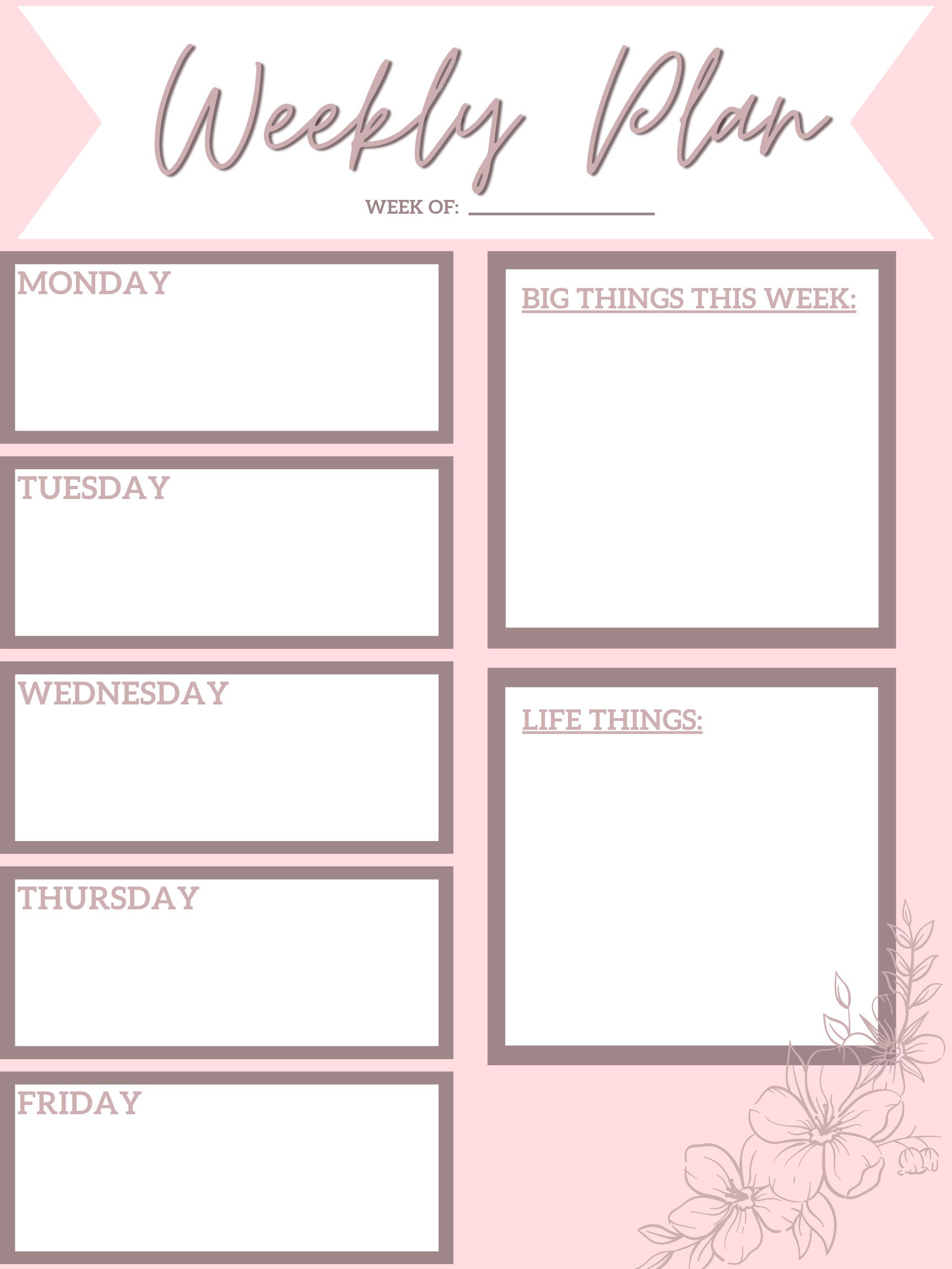 STUDY PLAN - Etsy