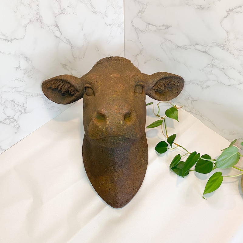 Cow Head Wall Mount - Etsy