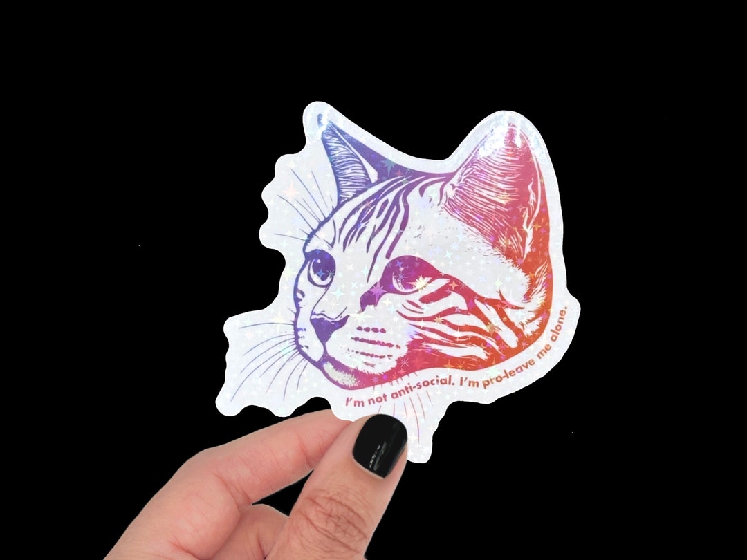 Holographic Laminated Introvert Sticker, INFJ Cat Sticker for Water ...