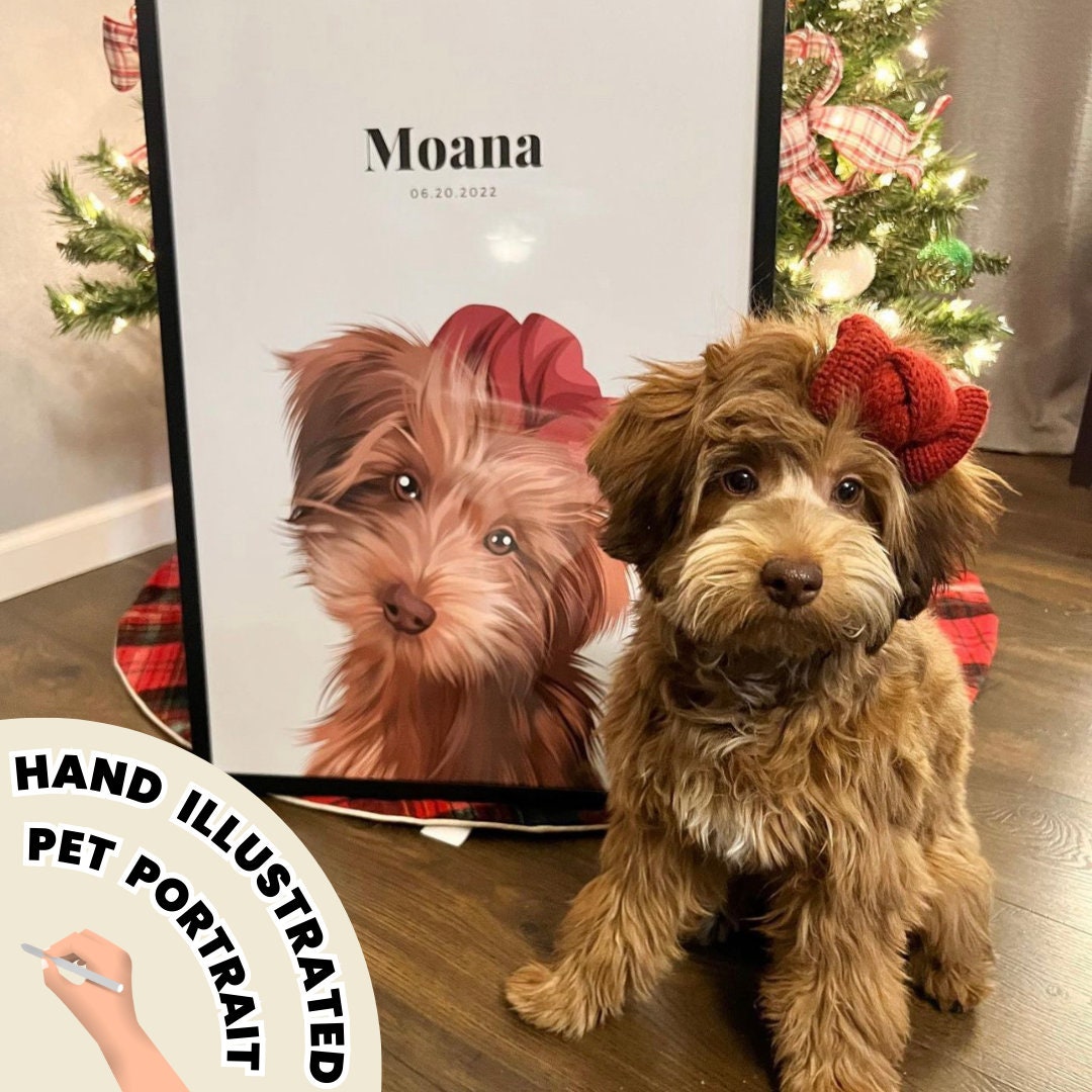 Hand Illustrated Pet Portrait Pet Drawing Pet Portrait Framed Drawing ...