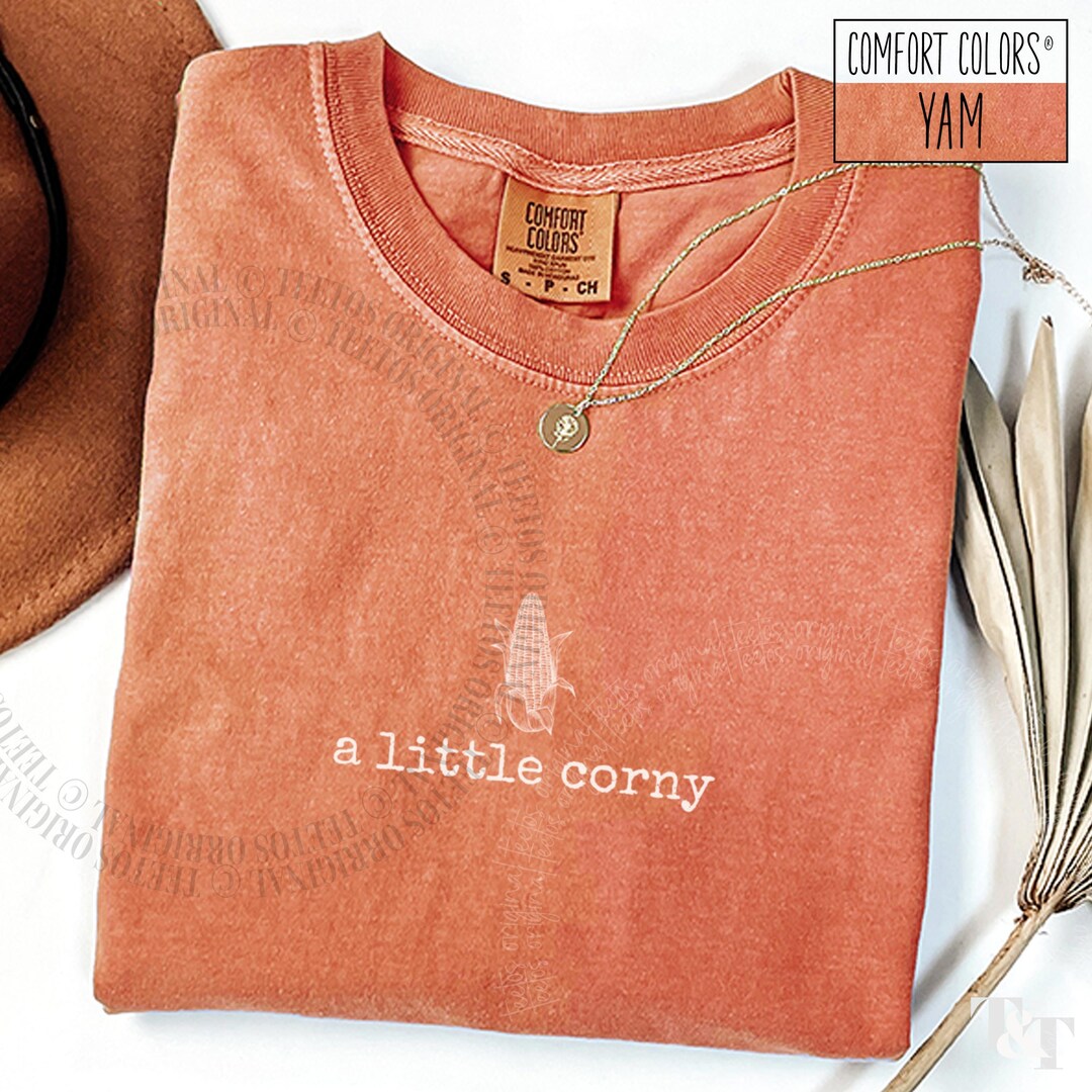 Minimalist Fall Shirt, Funny Meme A Little Corny Graphic Tee, Fall ...