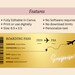 EDITABLE Golden Ticket Boarding Pass Canva Template | Printable Airline ...