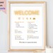 EDITABLE Golden Ticket Boarding Pass Canva Template | Printable Airline ...
