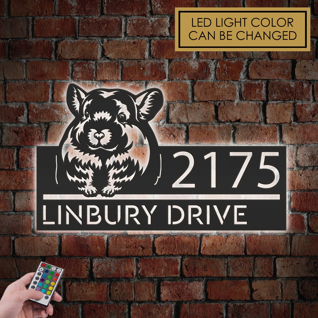 Personalized Peeking Chinchilla Metal Address Sign With LED Lights ...