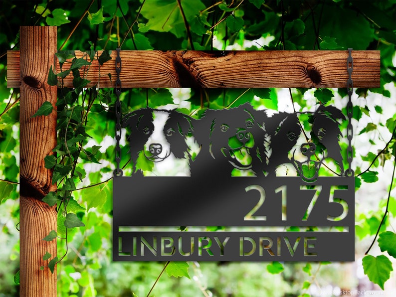 Personalized Peeking Dogs Border Collie Metal Address Sign - Etsy