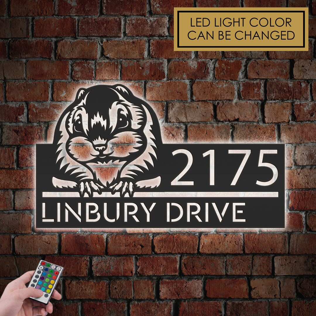 Personalized Peeking Flying Squirrel Metal Address Sign With LED Lights ...