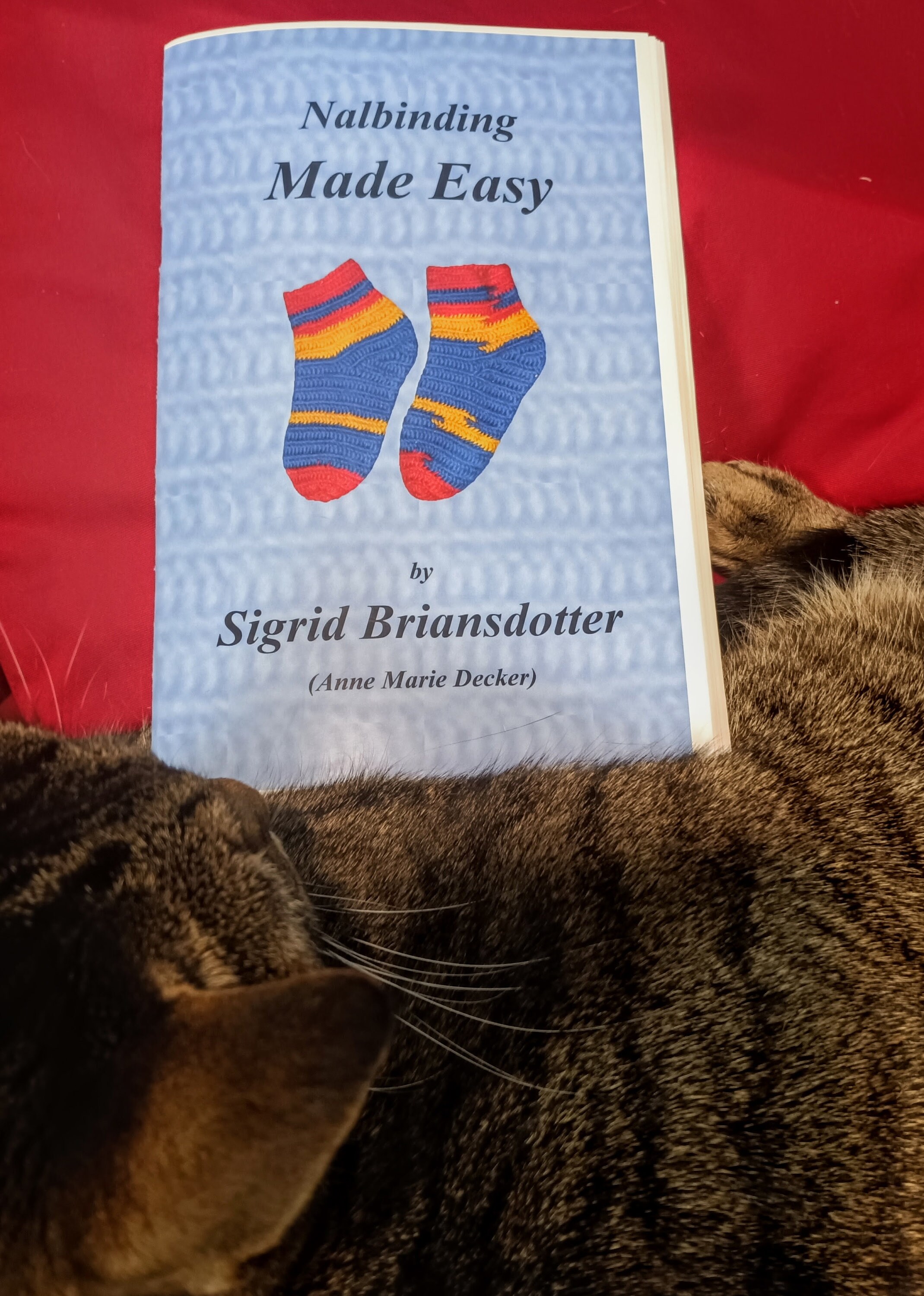 Nalbinding Made Easy a Printed Beginners Instruction Manual - Etsy