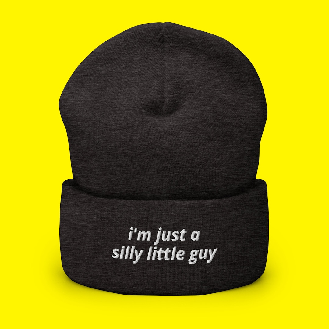 I'm Just a Silly Little Guy Funny Wool Hat, Funny Winter Hat, Meme Hat ...