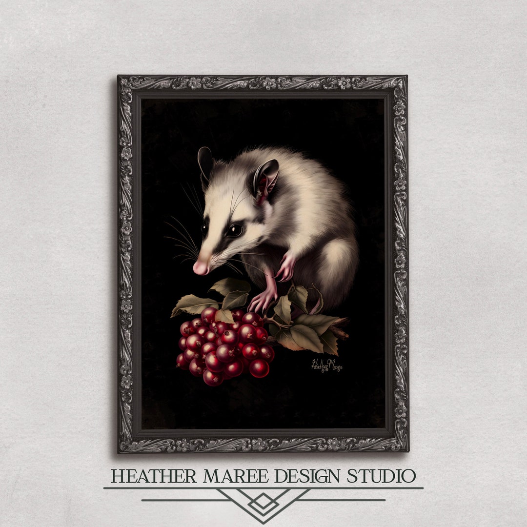 Opossum With Berries Dark Academia Fine Art Prints, Possum Gifts ...
