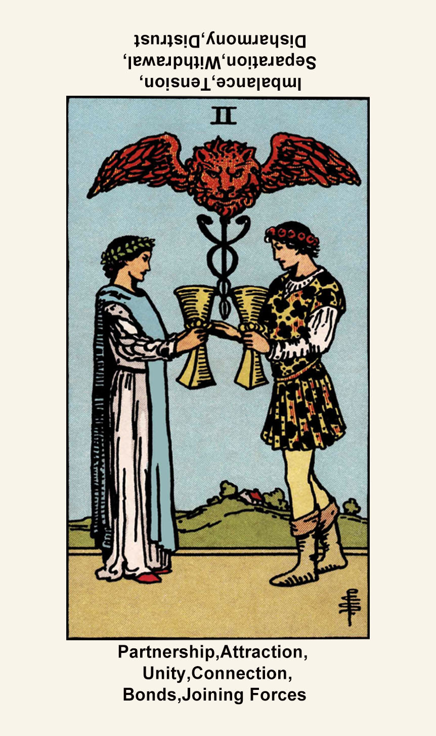 Apprentice Tarot Deck With Keywords Not Just for Beginners - Etsy