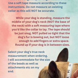 Personalized Dog Collar - EVERGREEN Pastel Flowers Blingy Dog Collar ...