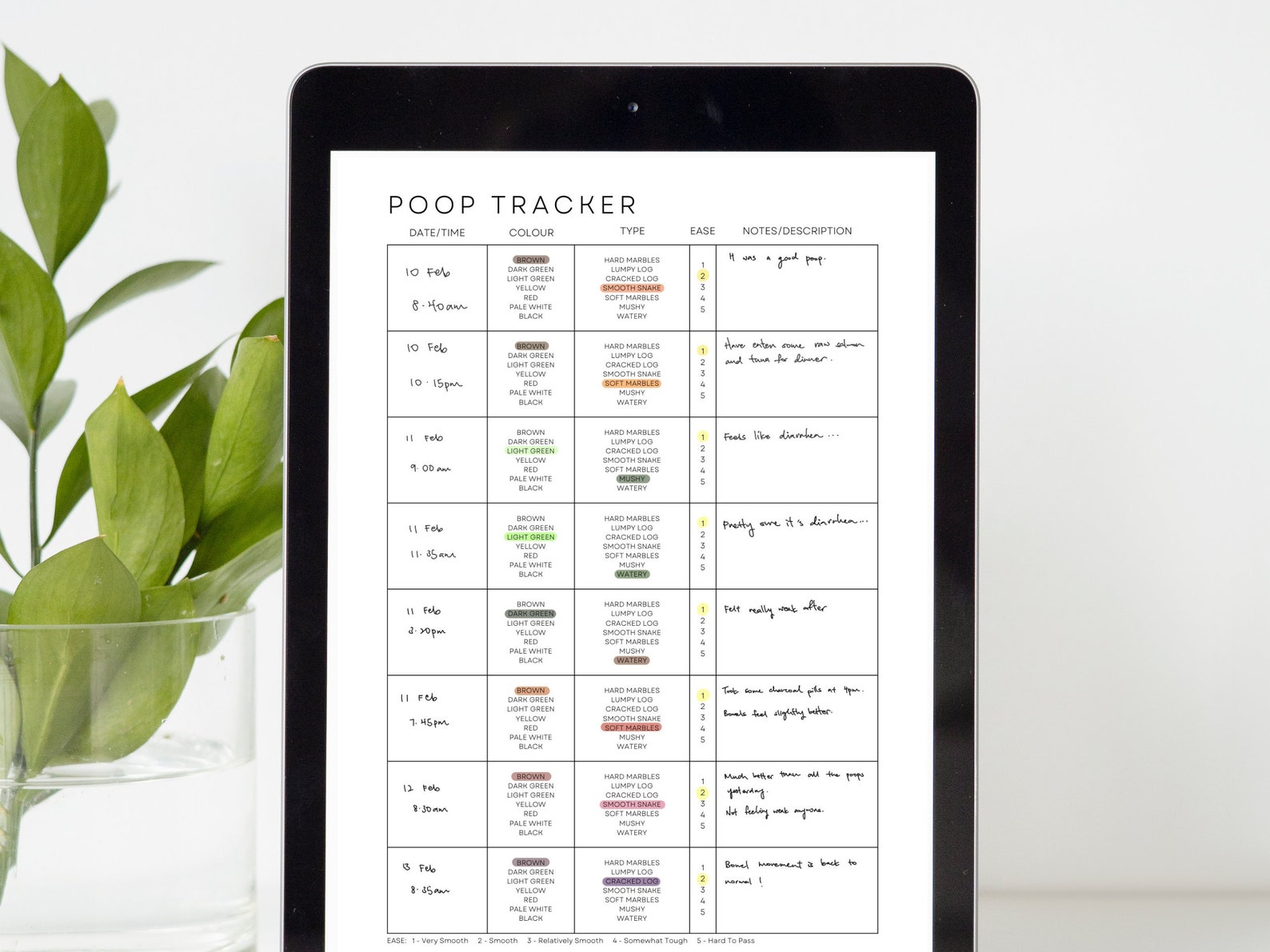 Poop Tracker Printable Sheets/bowel Movement Journal Planner/ibs Celiac ...
