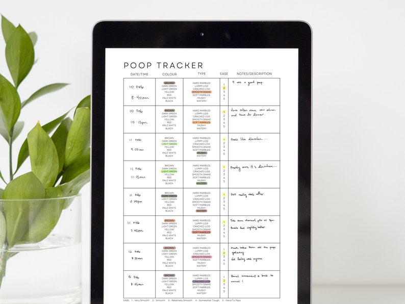 Poop Tracker Printable Sheets/bowel Movement Journal Planner/ibs Celiac ...