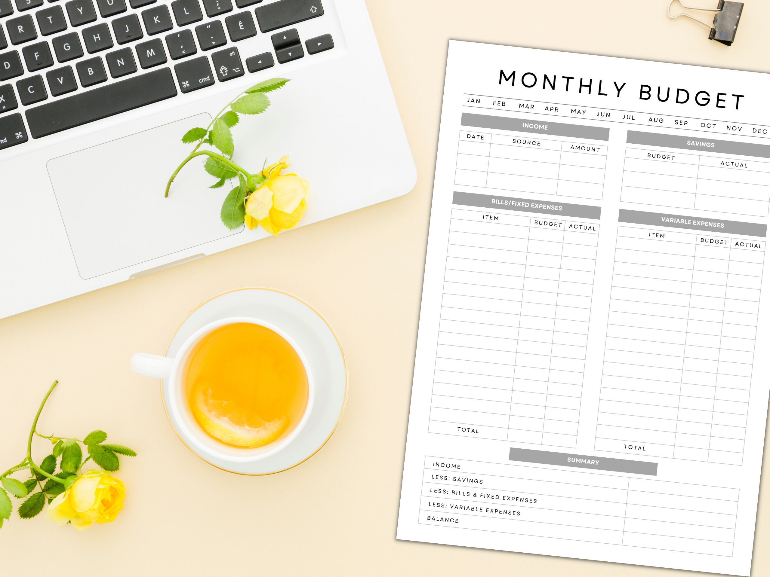 Monthly Budget Overview Planner Printable Template/budget Binder ...