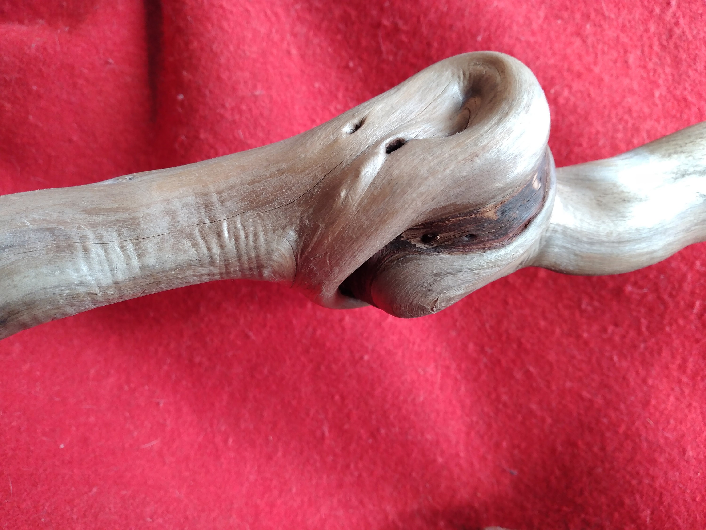 Western Red Cedar Tortured and Twisted Into Art - Etsy