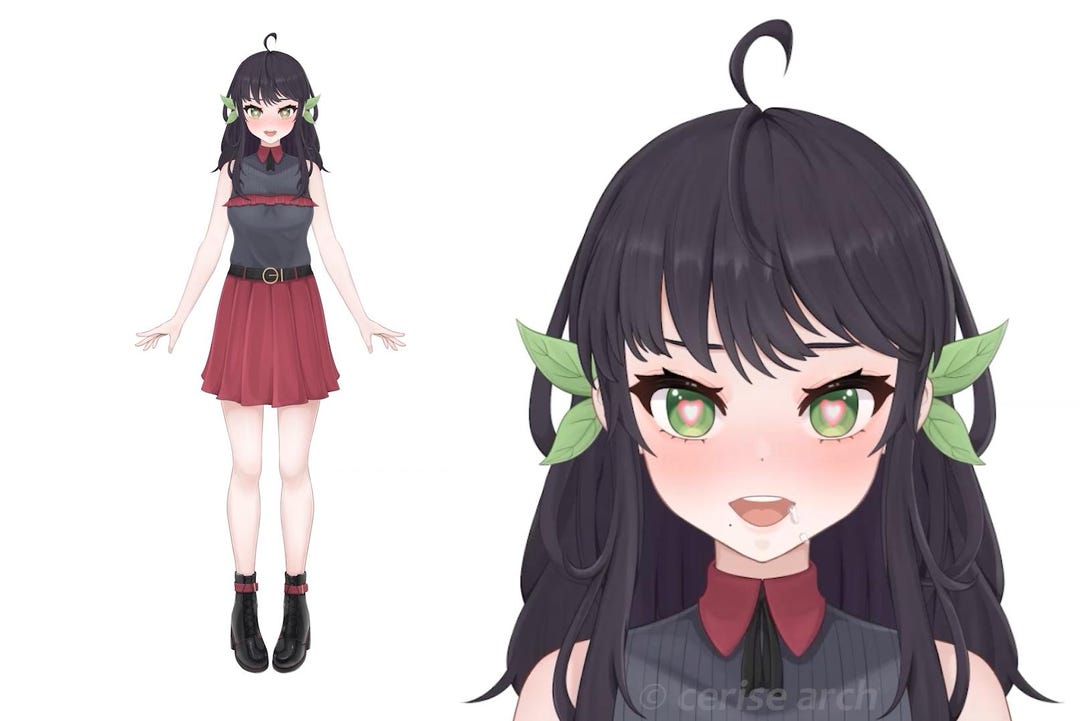 Vtuber Rigging Only, Rig Your Fullbody Vtuber Art for Streaming - Etsy