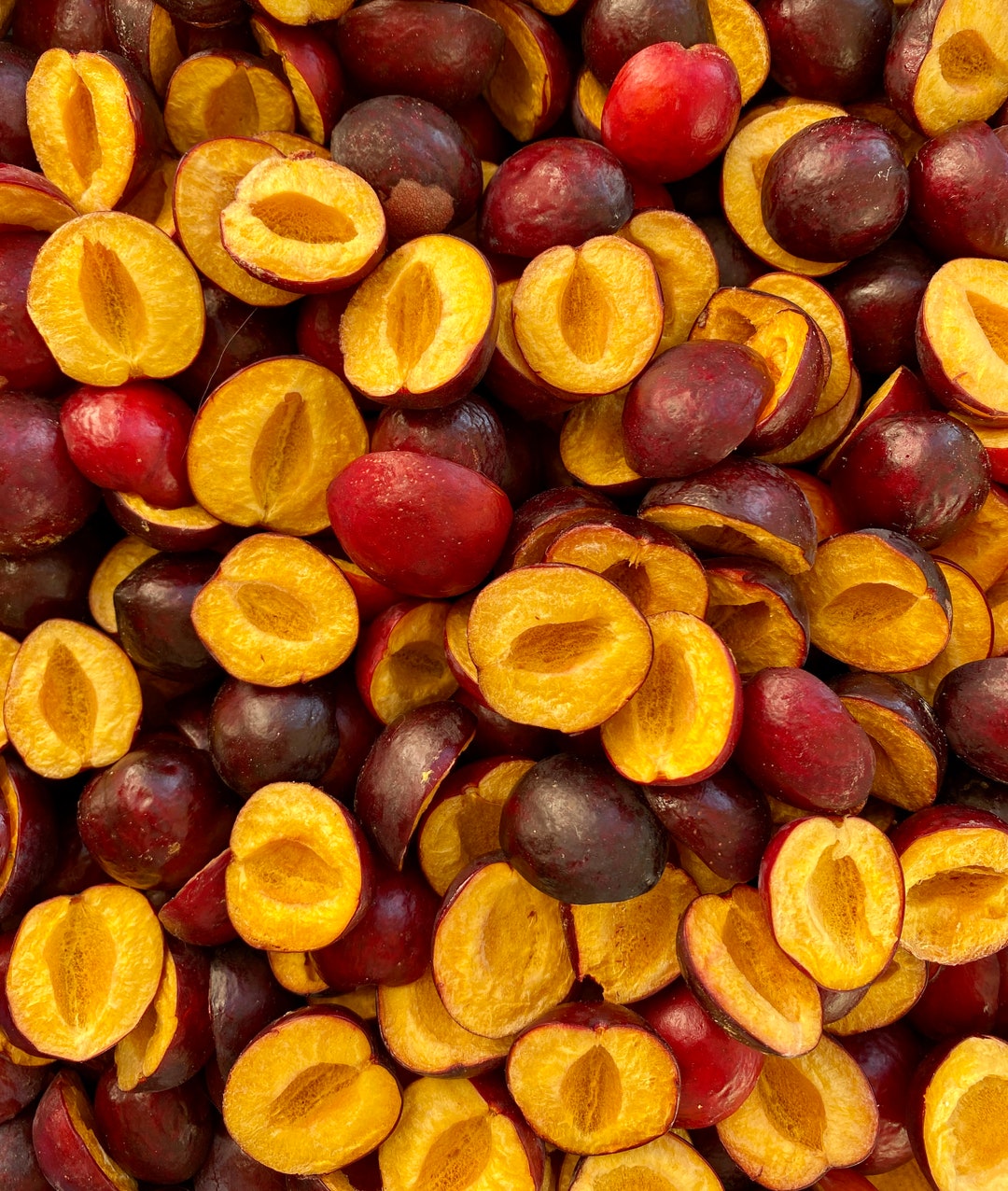 Freeze Dried SOUR Plum Halves With No Additives. Natural Cake - Etsy