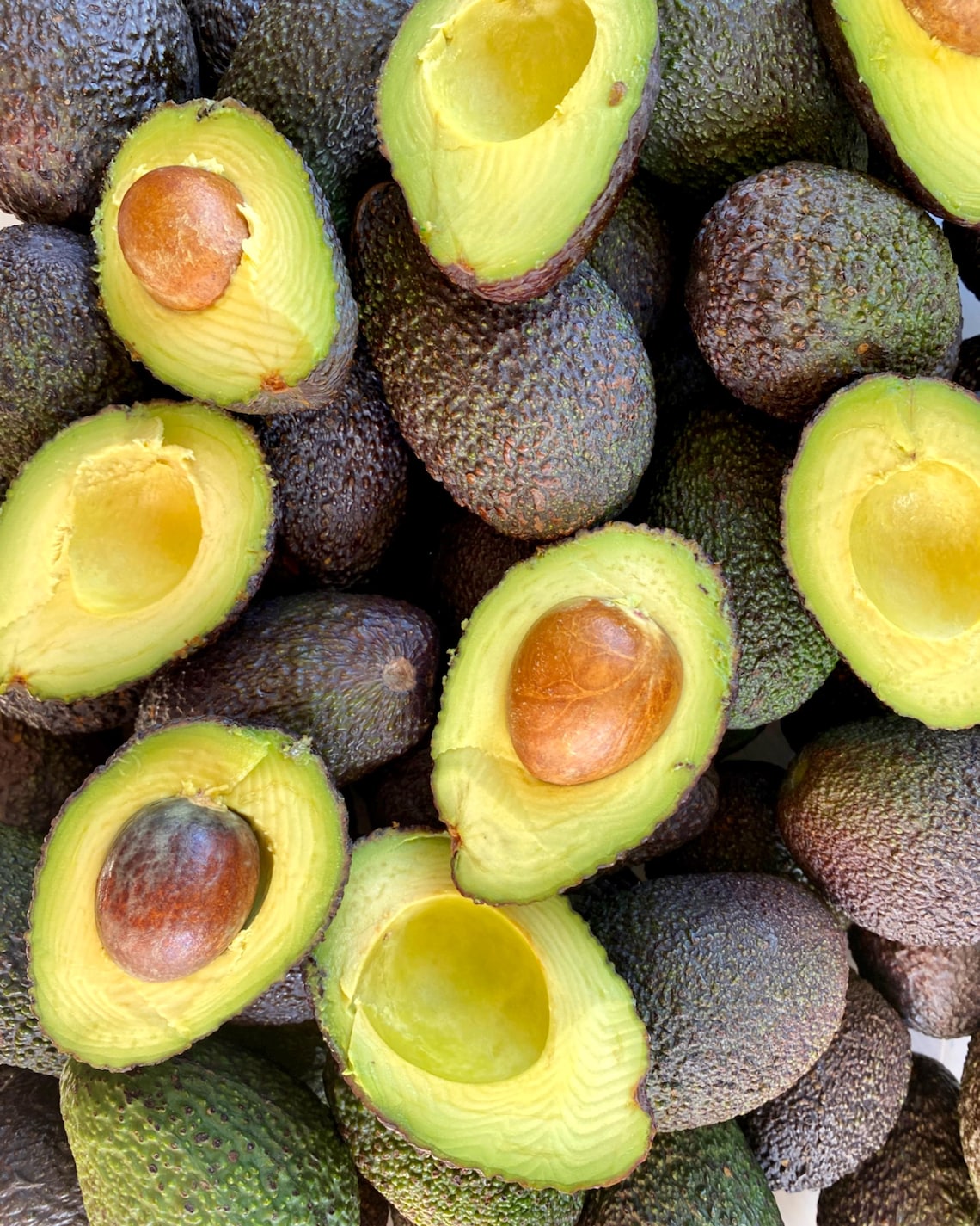 Freeze Dried Avocado Slices Without Additives, Preservatives or Added ...