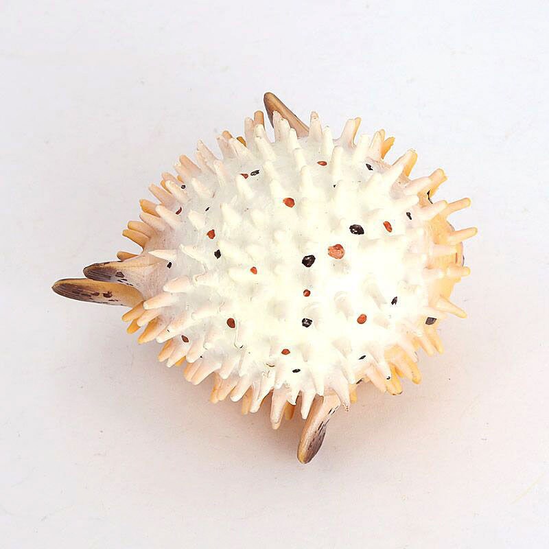 Fugu Model, Simulation of Solid Aquatic Animal, Puffer , Cute Fish ...