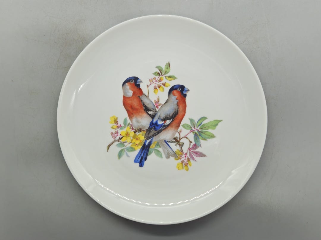 1980s Alka Kunst, Alboth & Kaiser Germany Porcelain Dessert Plate Hand ...