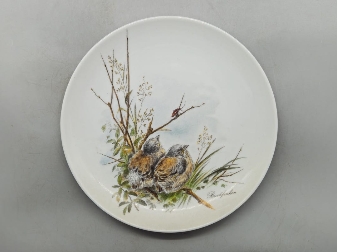 1980s Alka Kunst, Alboth & Kaiser Bavaria Dessert Plate With Hand ...