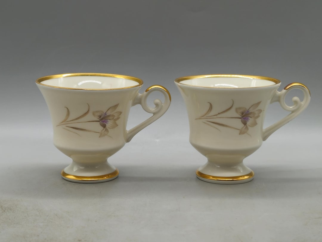 Pair of 1950s Alboth & Kaiser Bavaria Porcelain Cups With Gold ...