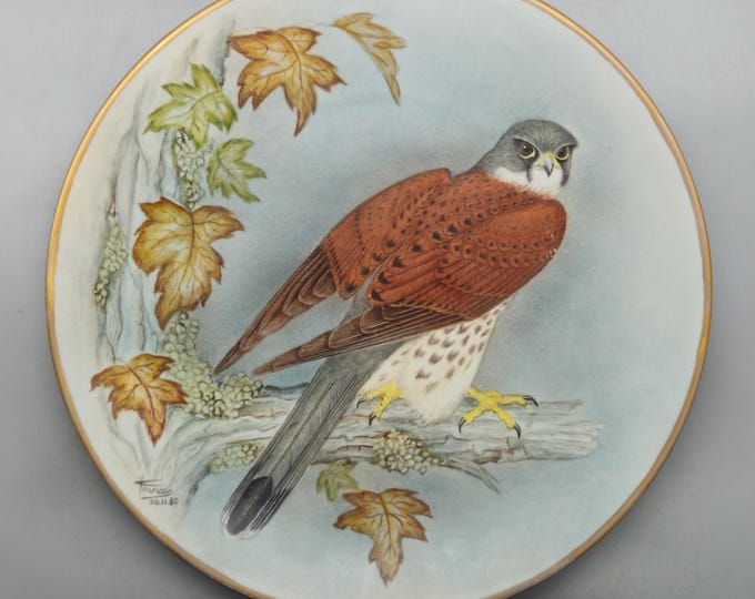 1980s Hand-painted Porcelain Dinner Plate, "kestrel" by Frances Moore ...