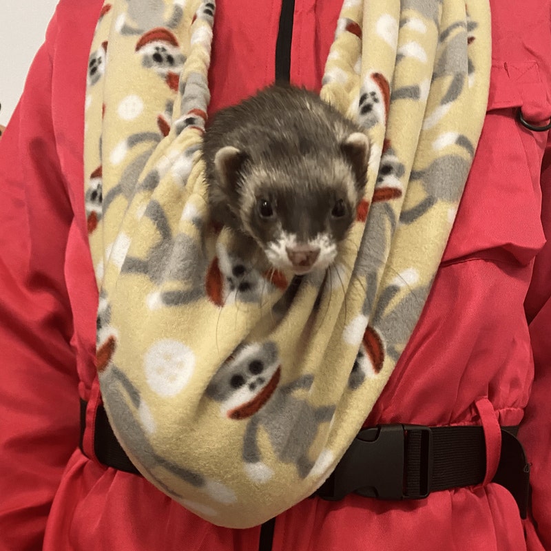 Ferret Fabric - Etsy