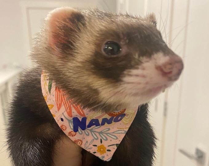 Sea Breeze Ferret Bandana - Ferret Scarf - Ferret Accessories - Clothes ...