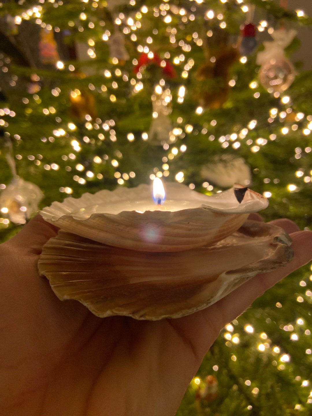 Sea Shell Candles/oyster Shell Candles/ Scallop Shell Candles/christmas ...