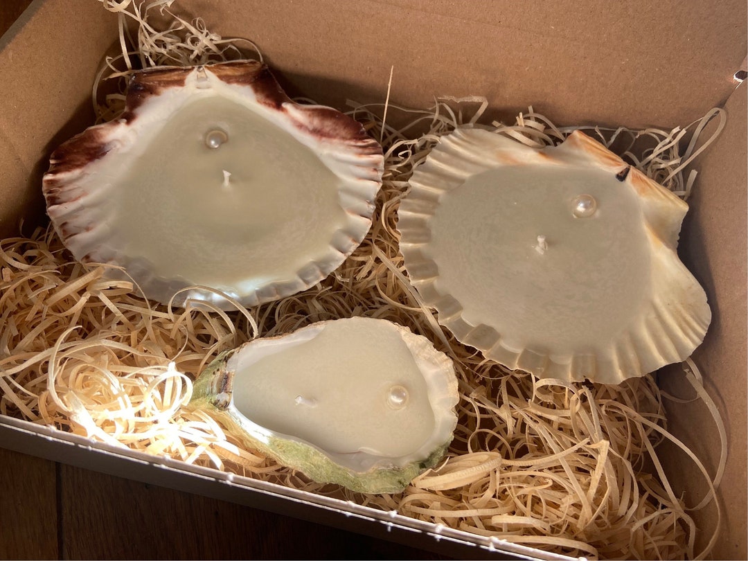 Sea Shell Candles/oyster Shell Candles/ Scallop Shell - Etsy