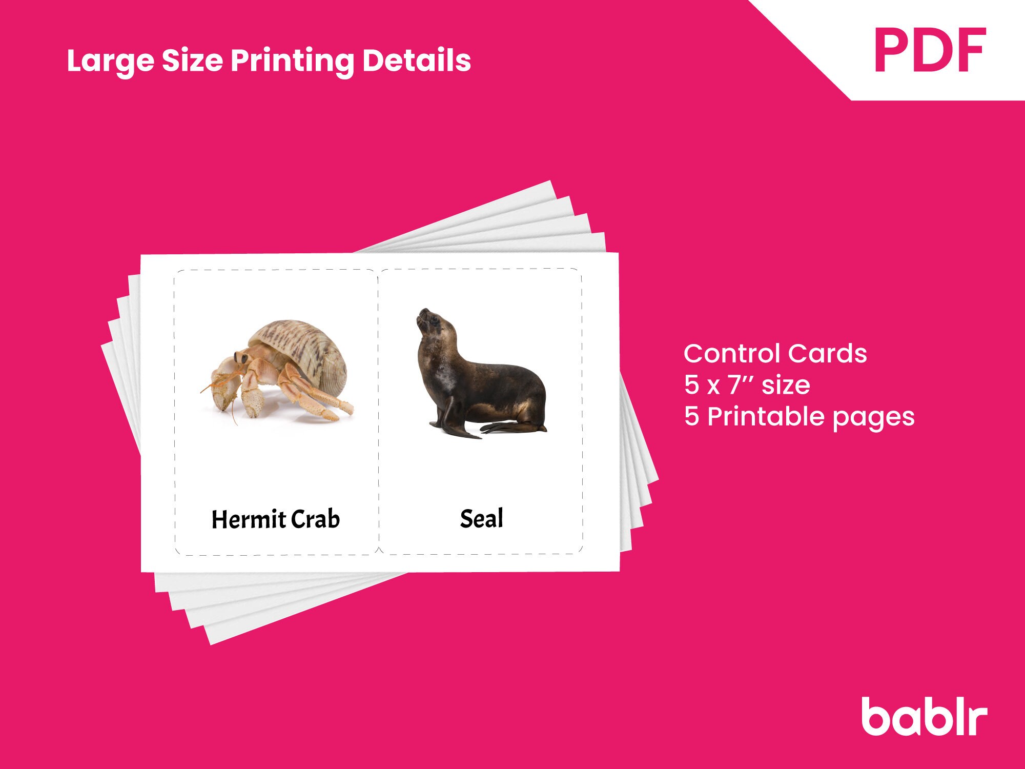 Ocean Animals • Editable Montessori Cards • PDF Printable Toddler ...