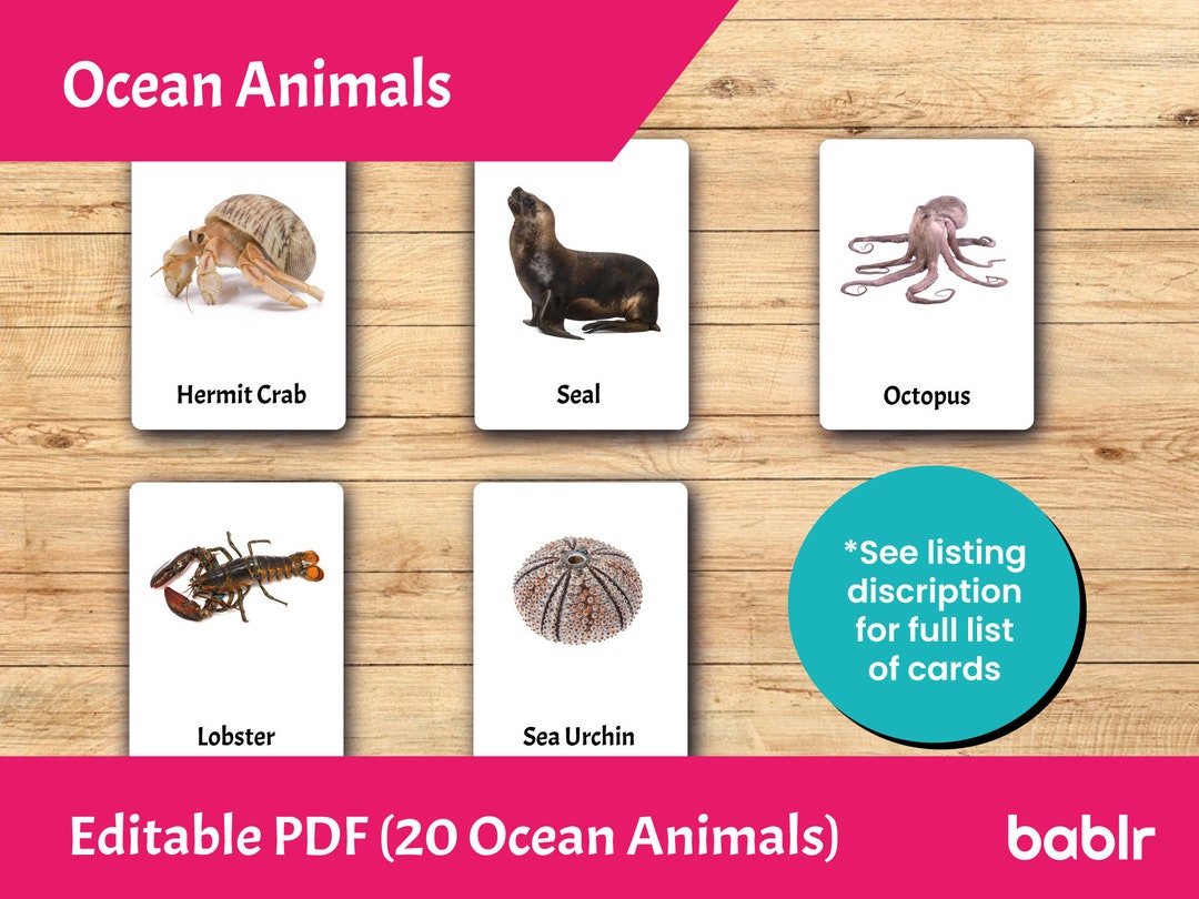 Ocean Animals • Editable Montessori Cards • PDF Printable Toddler ...