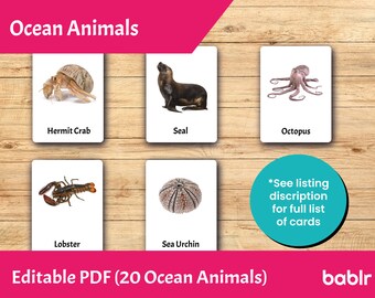 Farm Animals Editable Montessori Cards PDF Printable - Etsy