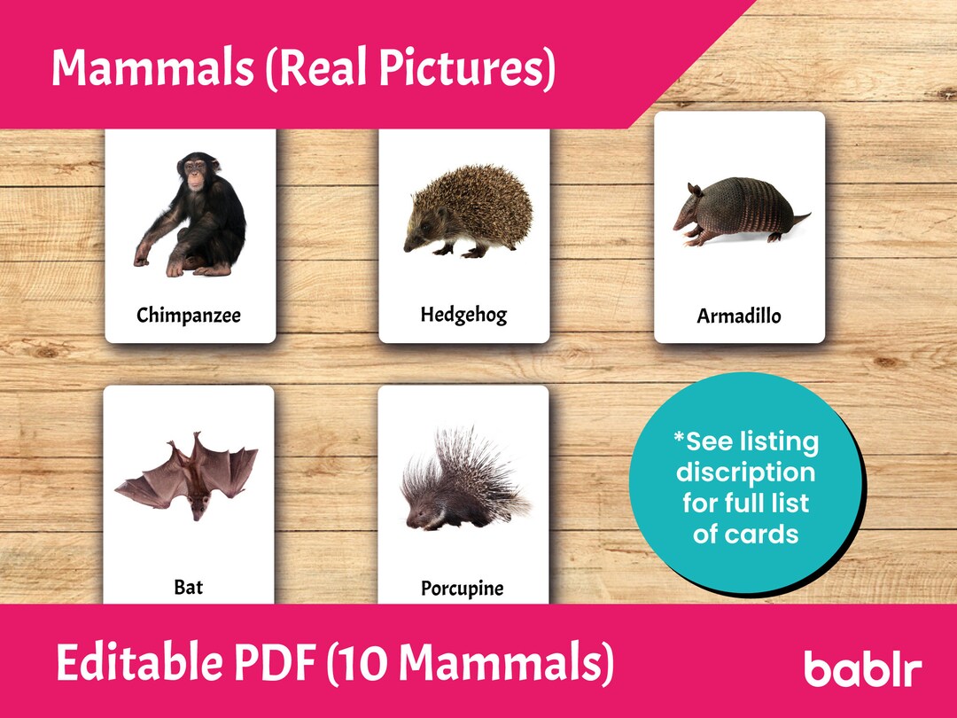 Mammals (real Pictures) • Editable Montessori Cards • PDF Printable ...
