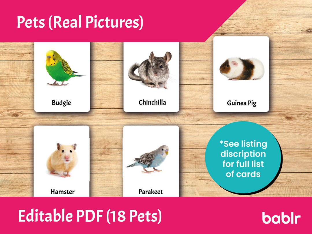 Pets real Pictures Editable Montessori Cards PDF Printable Toddler ...