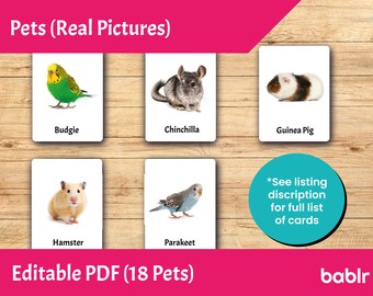 Domestic Animals Flashcards With Real Pictures Farm Animals - Etsy